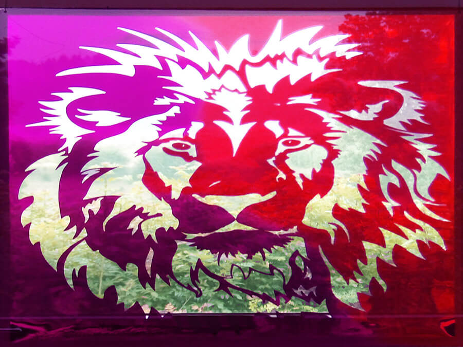 Lion mirror red yellow art exotic persian pink neon carrot